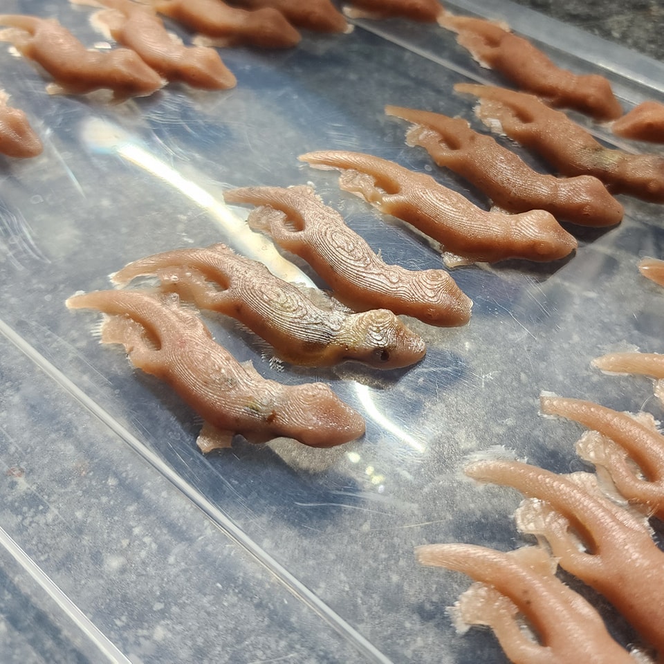 Repti-Bites – Whole Prey, Whole Health – Feed Your Reptile Right!